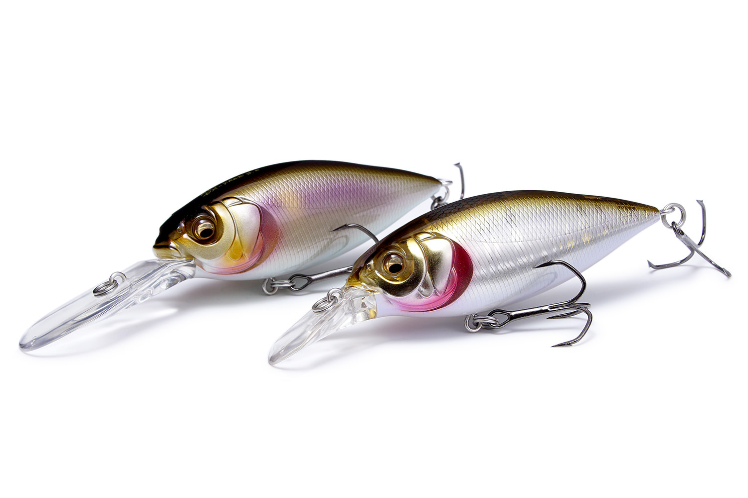 【再入荷情報】「勝つ」ためのチューニングベイト「DX-FREE」 | Megabass - メガバス オンラインショップ